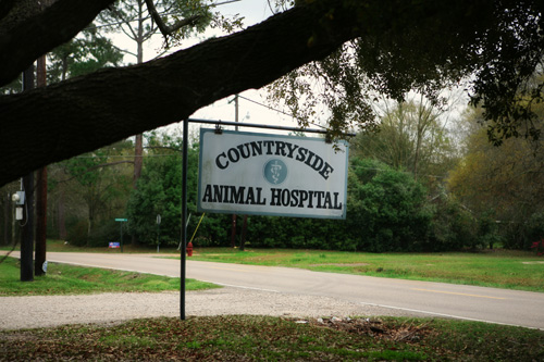 Countryside Animal Hospital | Hammond, Louisiana > Home